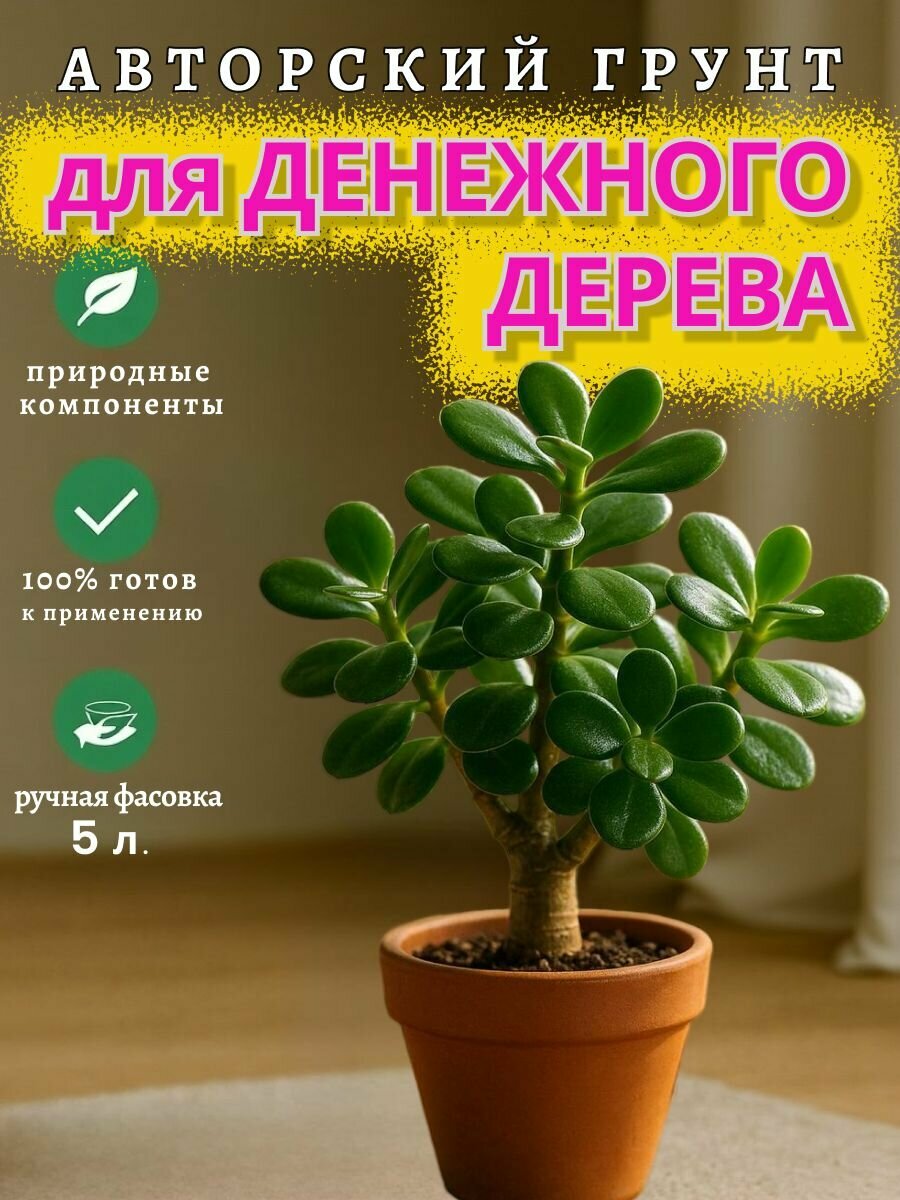 Грунт для Денежного дерева, Кактус, Алоэ 5 л. Питательный почвогрунт для крассулы, фикуса, толстянки, эниума. Субстрат для кактусов и суккулентов.