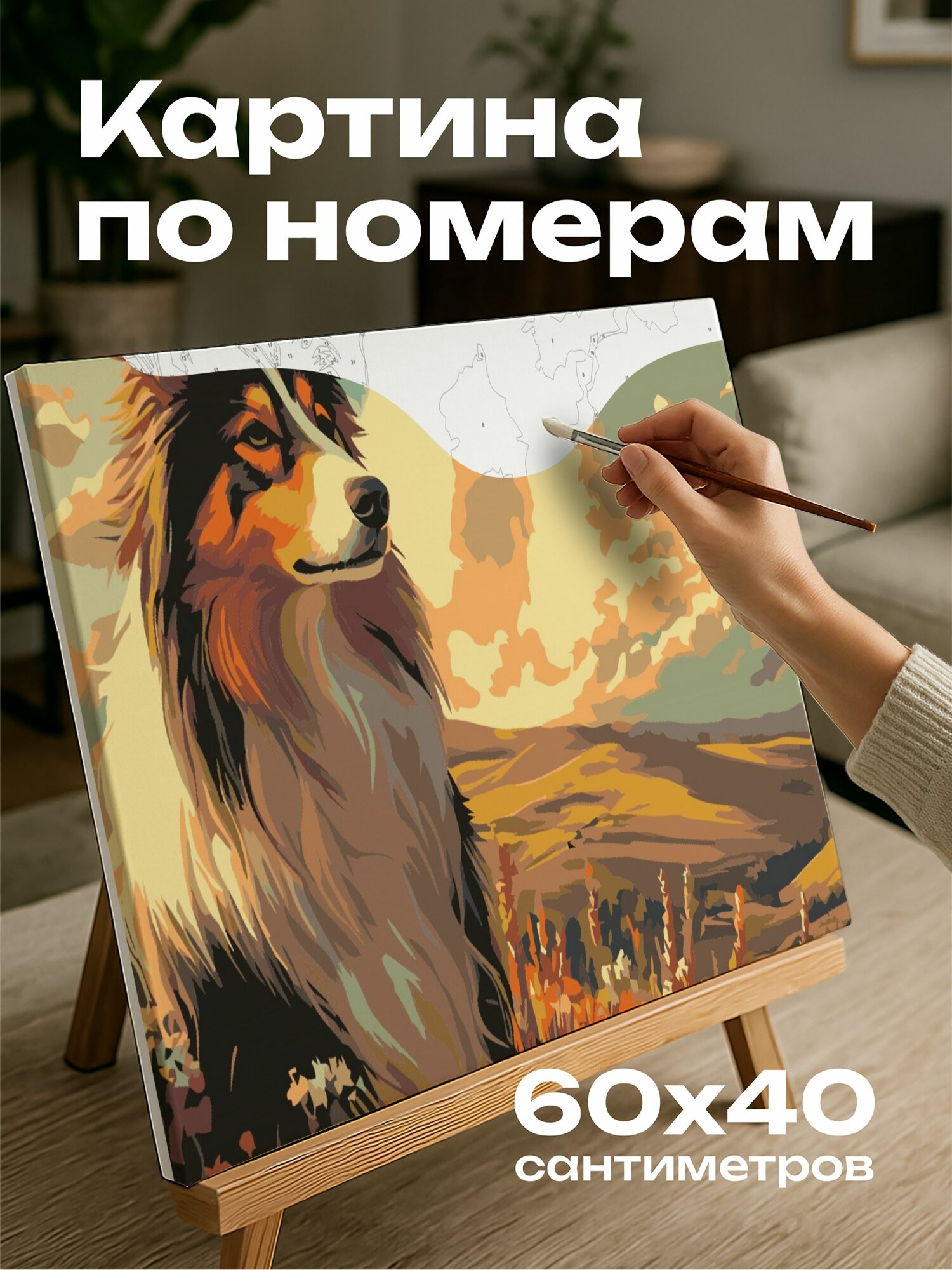 Картина по номерам 60x40 см, Колли, царственная, грациозная, элегантные манеры, холмы, полевые цветы, эмоции