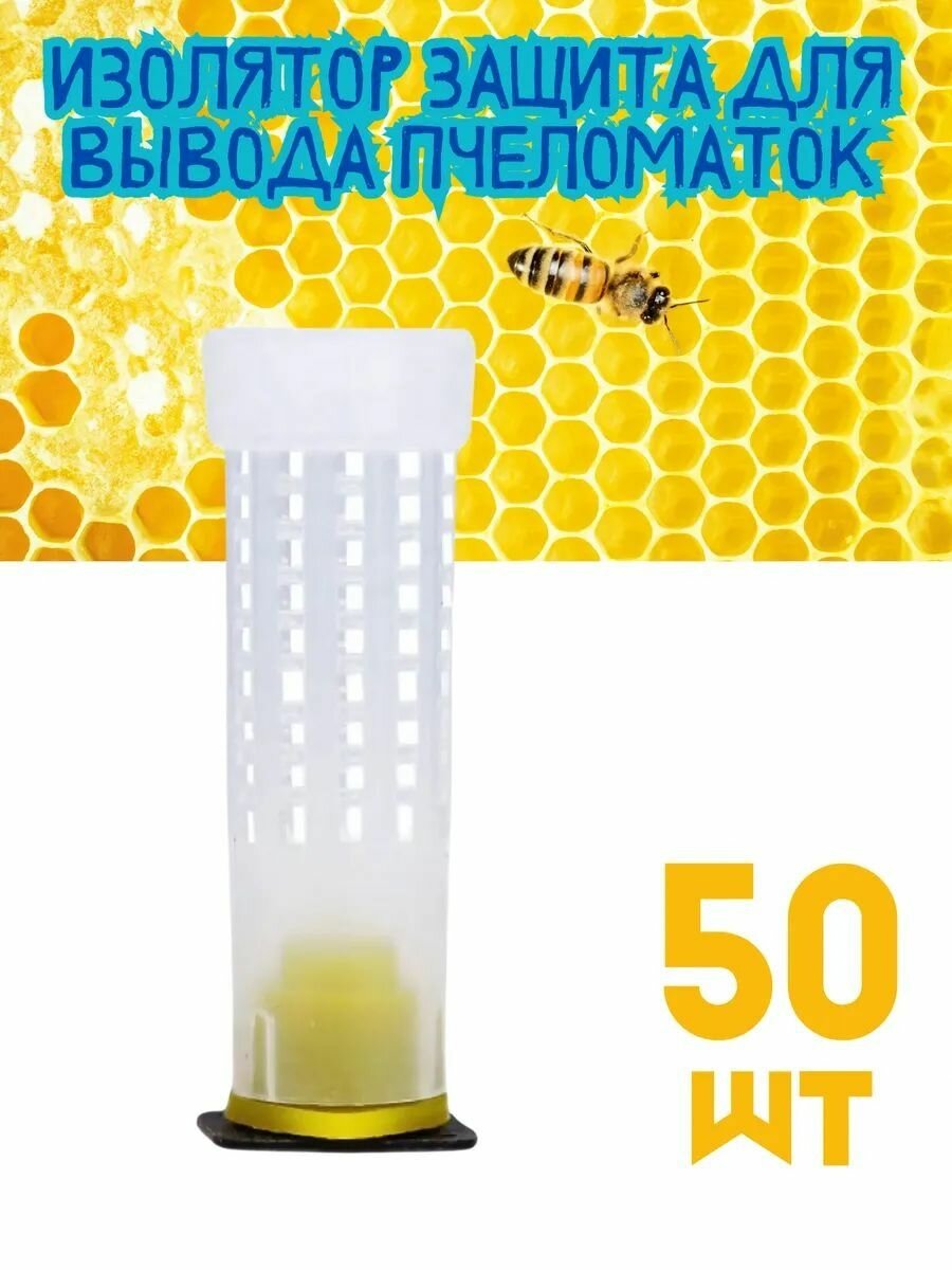 50 шт. Набор для вывода маток (клеточка, цоколь, держатель мисочки) / товары для пчеловодства / Изолятор защита для вывода пчеломаток