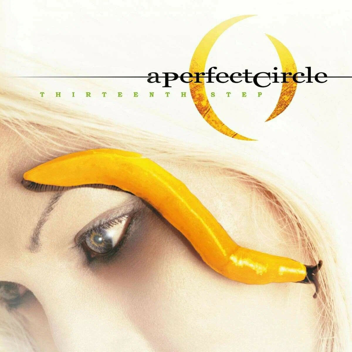 A Perfect Circle – Thirteenth Step (2 LP)
