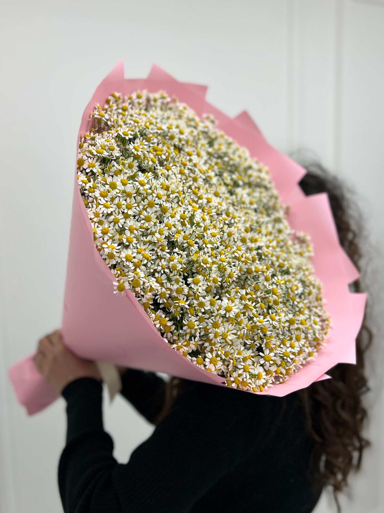 Гламелия цветы 55 ромашки - танацетум розовая упаковка – заказать с доставкой