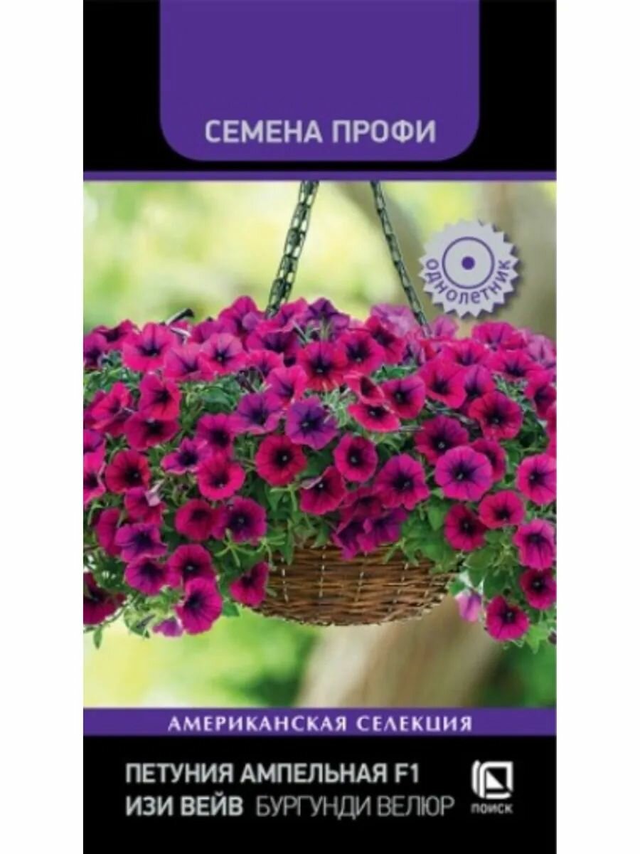 Петуния Изи Вэйв Бургунди Велюр ампельная 5 шт, Семена Поиск
