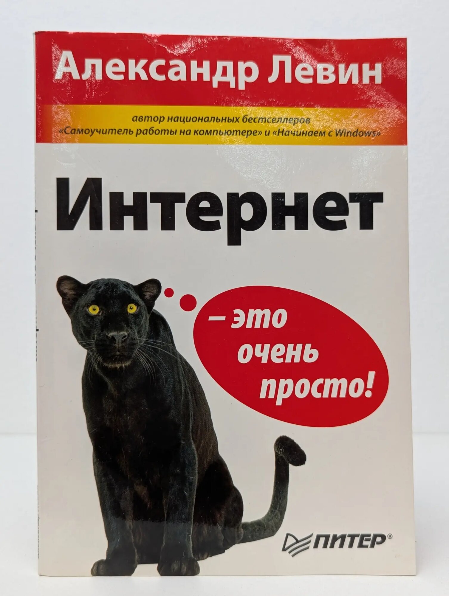 Интернет-это очень просто! Левин Александр Шлемович 2006