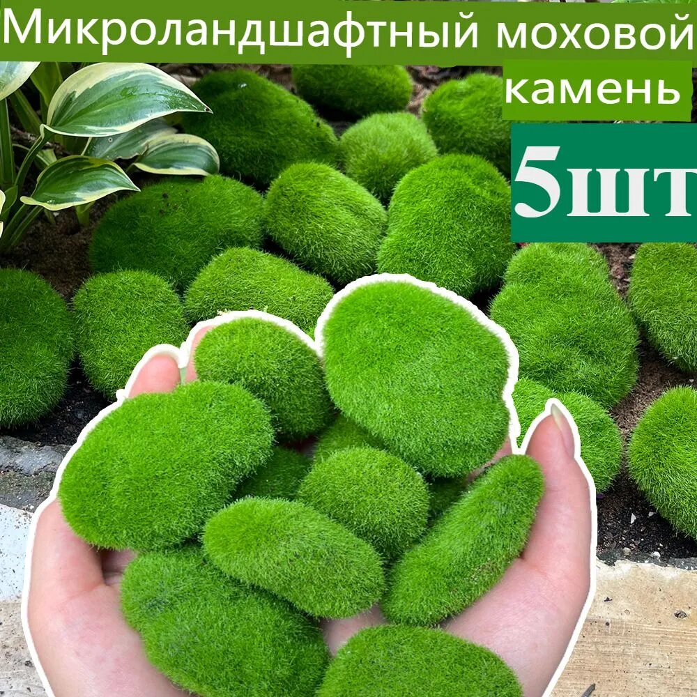 Стабилизированный мох Мох, 5 шт