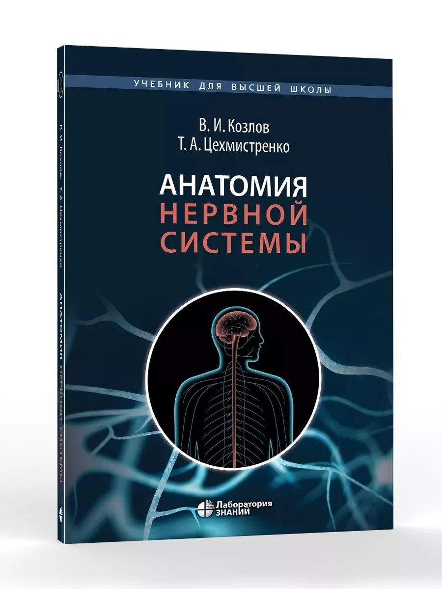 Анатомия нервной системы : учебное пособие для студентов