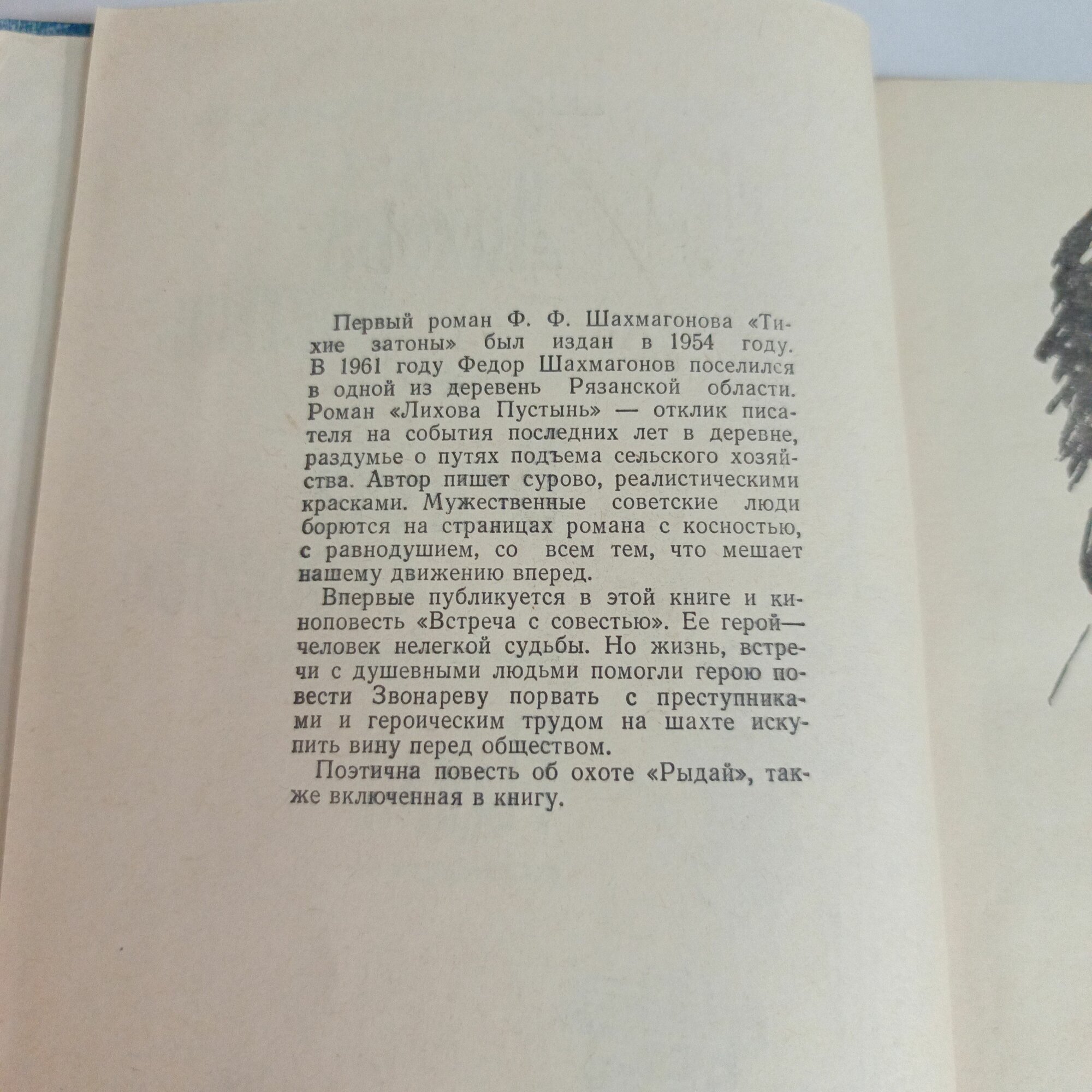 Лихова Пустынь. — фото 1