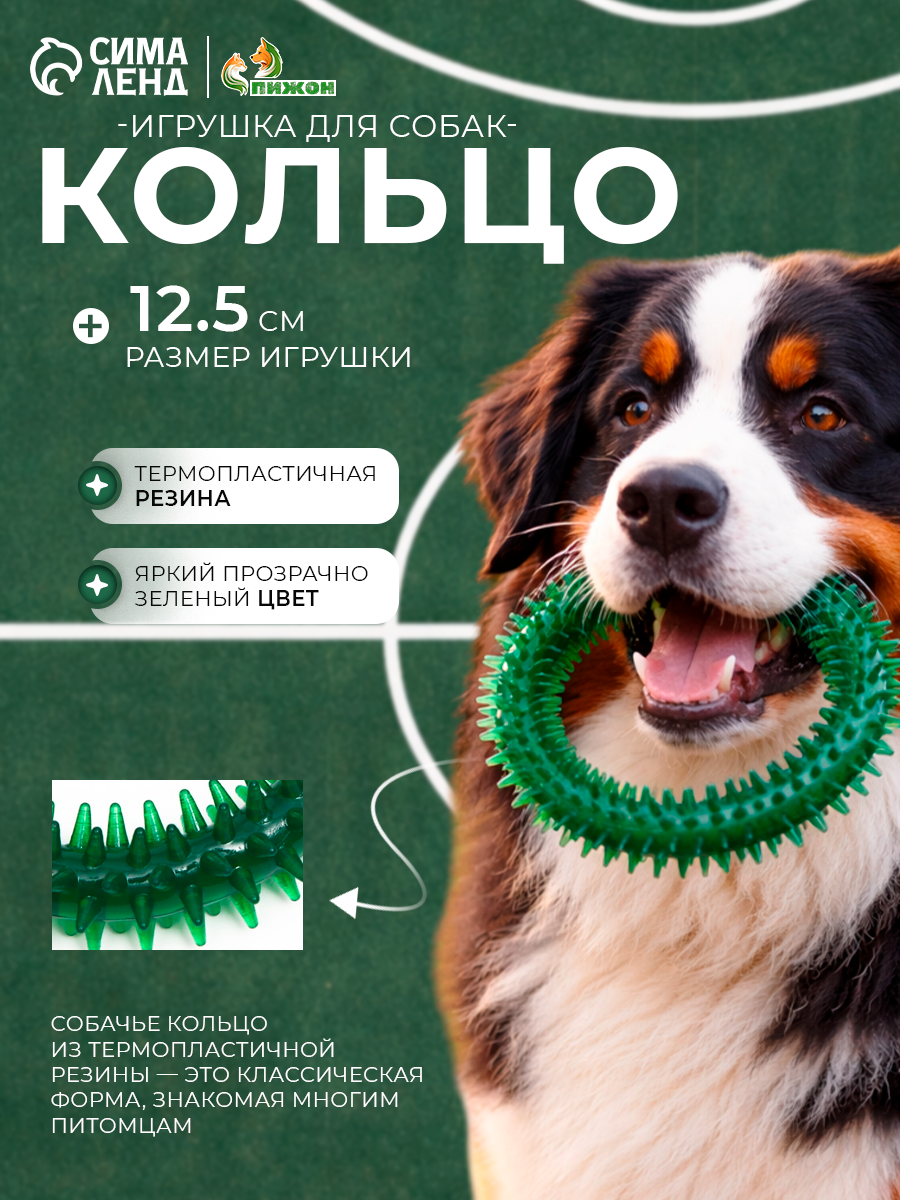 Игрушка для собак "Кольцо с шипами", 12,5 см, прозрачная, зелёная