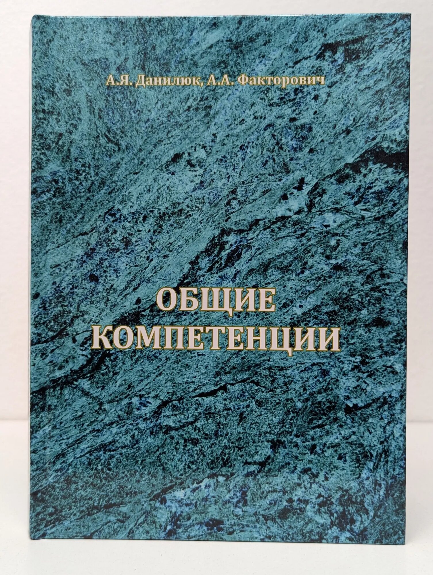 Общие компетенции Данилюк Александр Ярославович, Факторович Алла Аркадьевна 2020