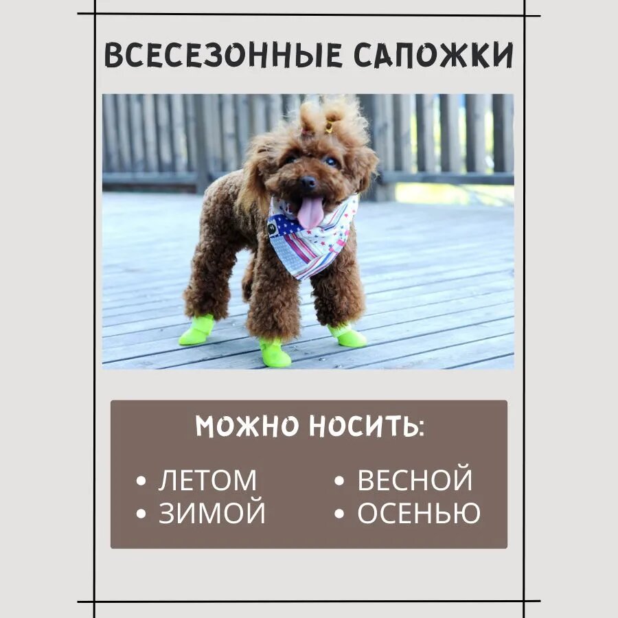 Обувь для собак Ha Guai Guai ботинки для мелких и средних пород, размеры S, M, L, 4 цвета — фото 1