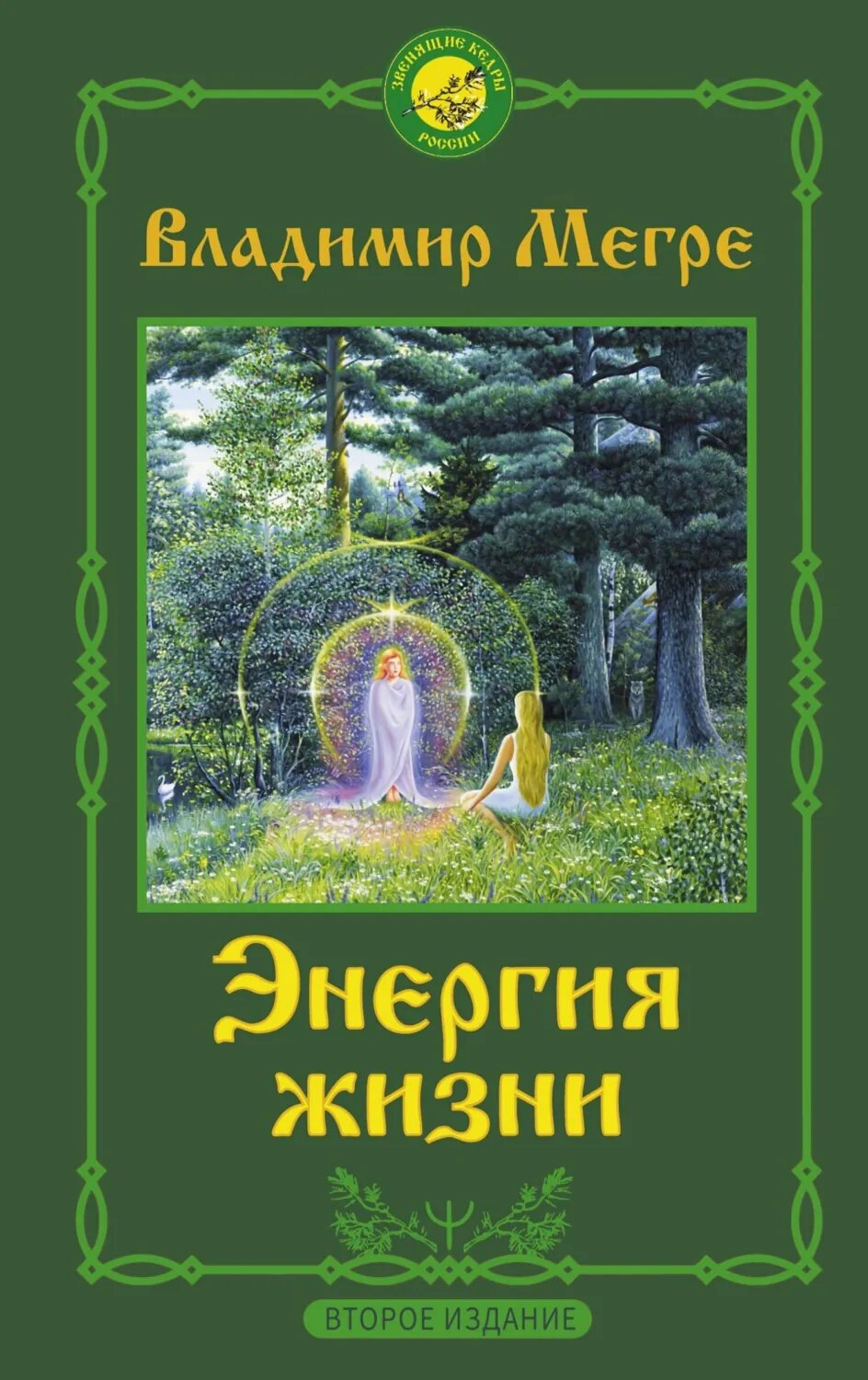 Энергия жизни [Цифровая книга]