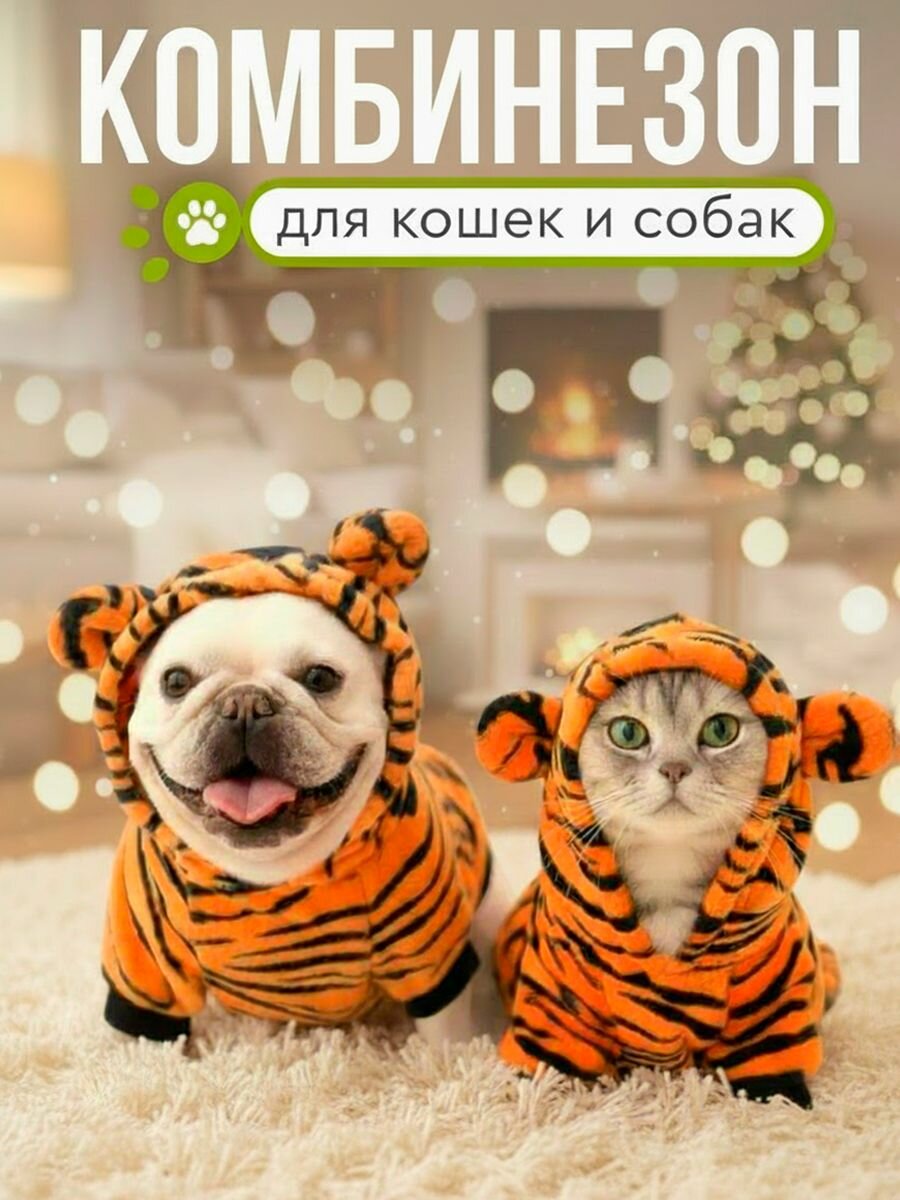 Одежда для животных