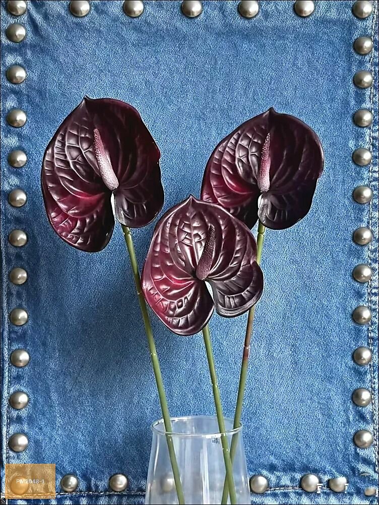 Стабилизированные цветы Антуриум, 91 гр, 3 шт