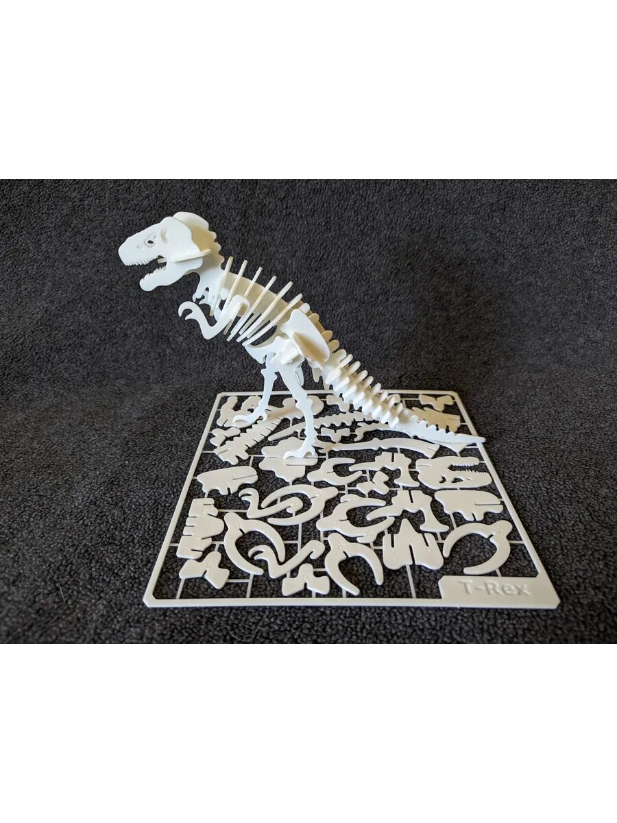 Сборная модель Тираннозавра "T-REX"