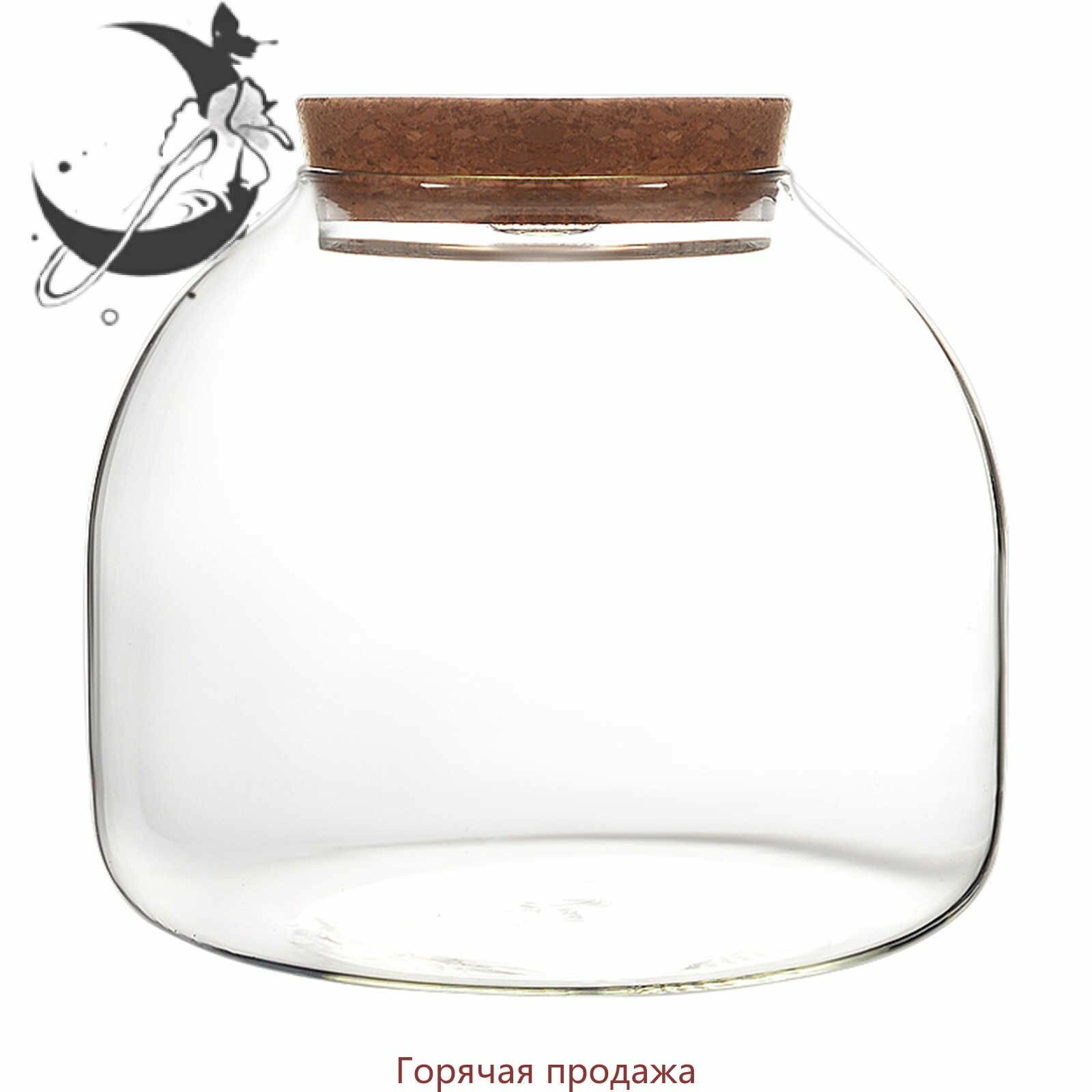 Стеклянный террариум для мини-суккулентов и мха с пробковой крышкой, объем 1600 мл