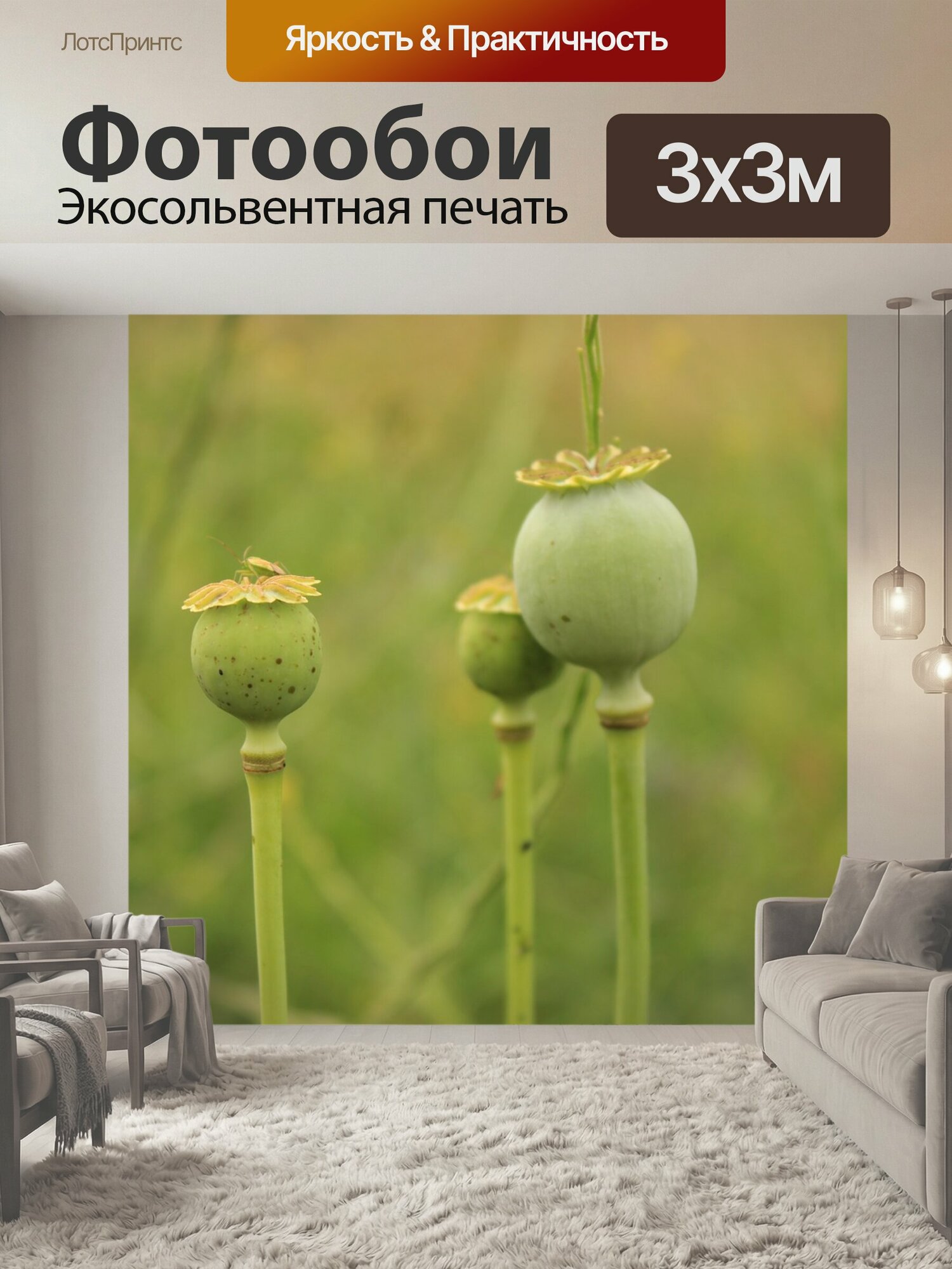 Фотообои "Мак, семена, посевной" 300x300 см. экосольвентная печать