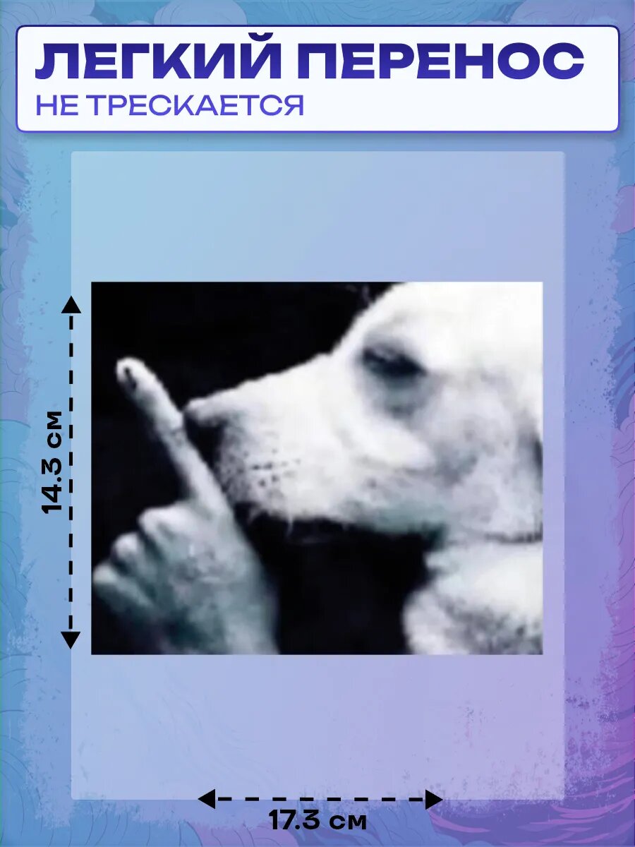 Термонаклейка dog meme — фото 1