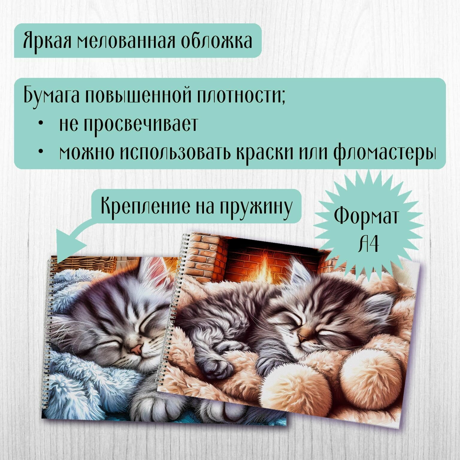 Альбомы для рисования Котики — фото 1