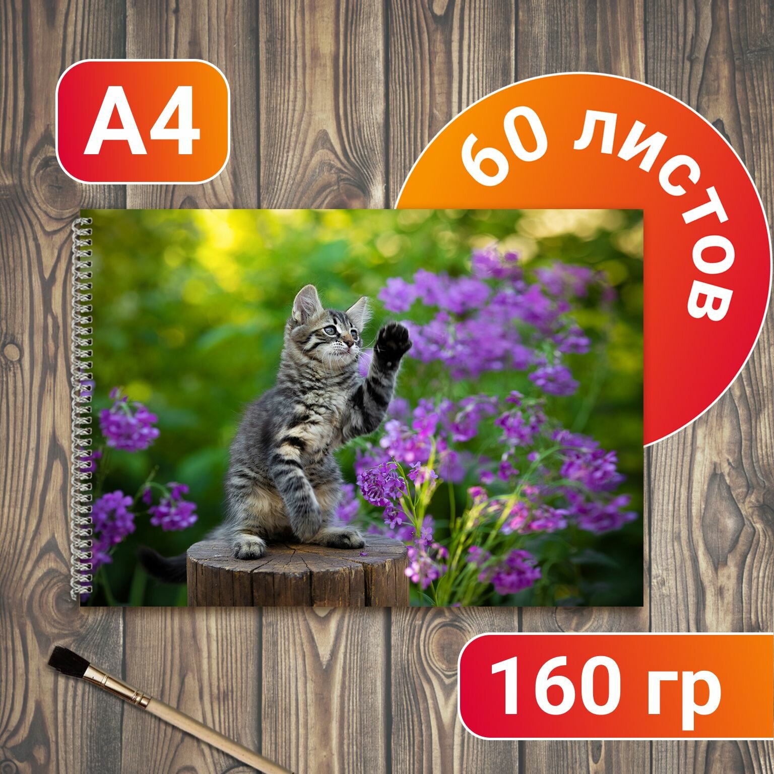 Альбом для рисования Котик
