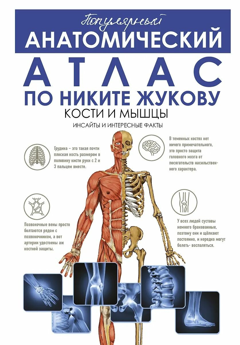 Анатомический атлас АСТ По Никите Жукову: кости и мышцы. Инсайты и интересные факты Жуков Н. Э, 2022 г