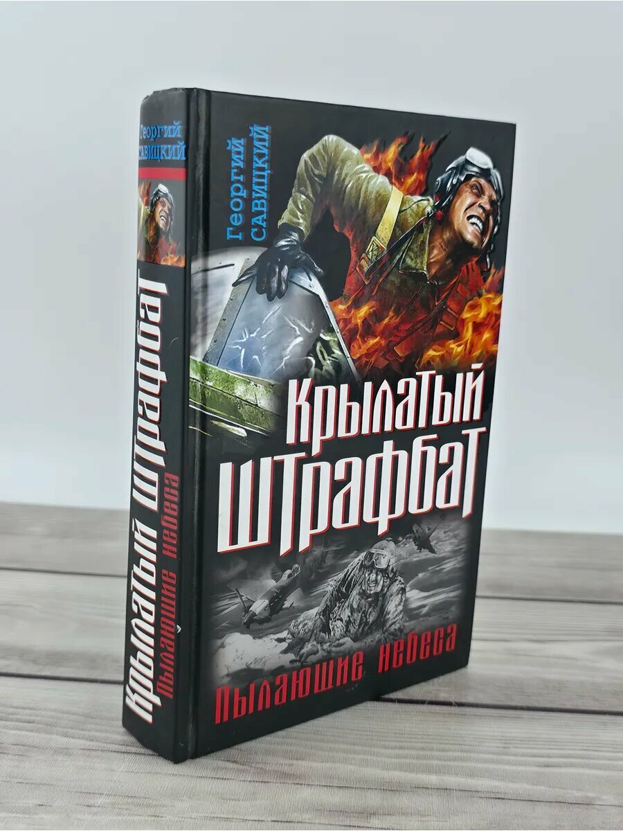 Крылатый штрафбат. Пылающие небеса | Савицкий Георгий