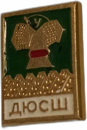 Значок "дюсш" — фото 1
