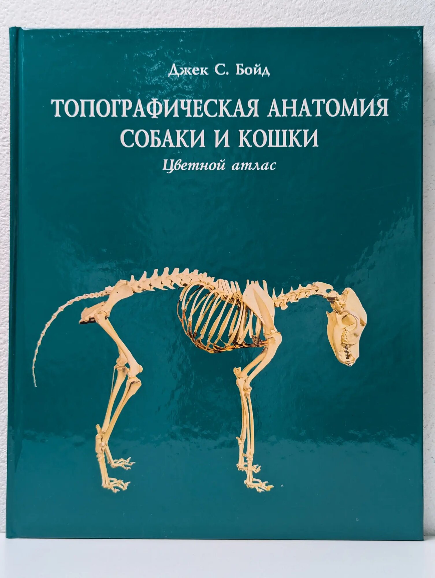 Топографическая анатомия собаки и кошки Бойд Джек С. 1998