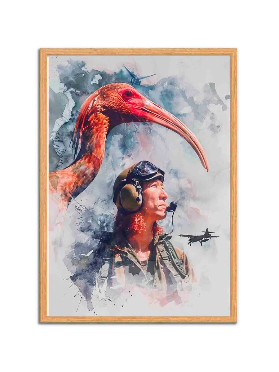 Пилот для животных Ibis 5, Плакат 30x42см