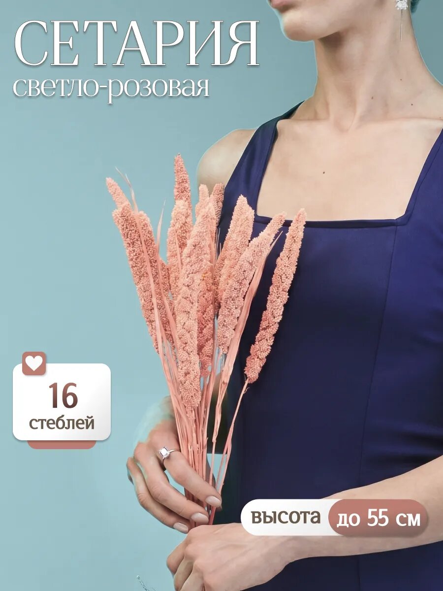 Сетария светло-розовая 16 шт, сухоцветы для декора