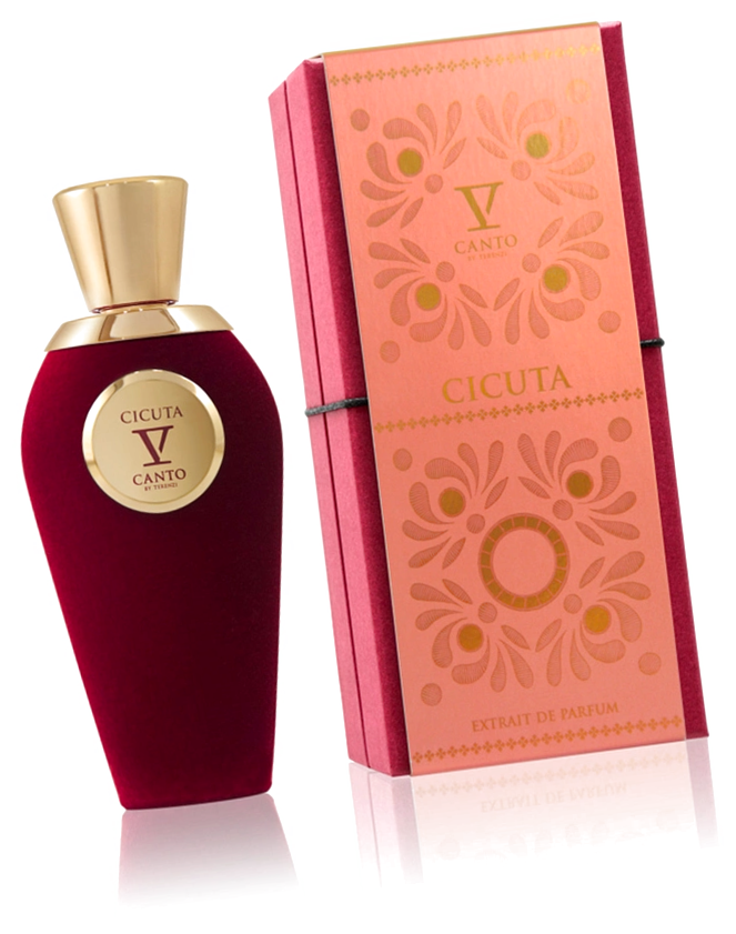 V Canto Cicuta парфюм для женщин 100 мл / женские духи Ви Канто Цикута