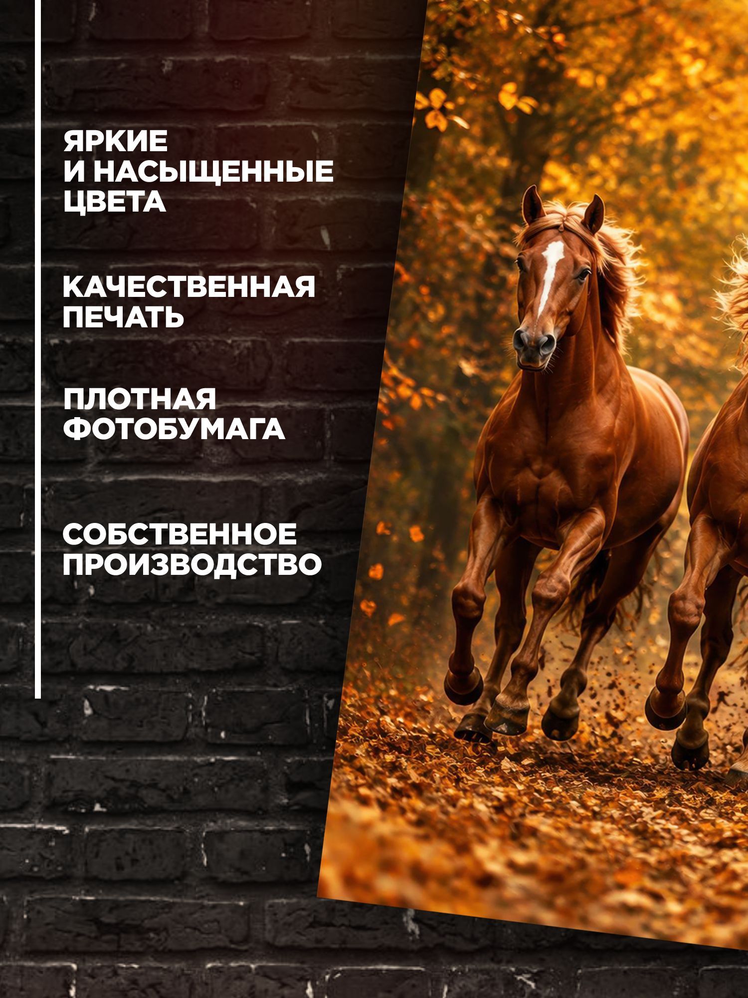 Постер на стену Лошади — фото 1