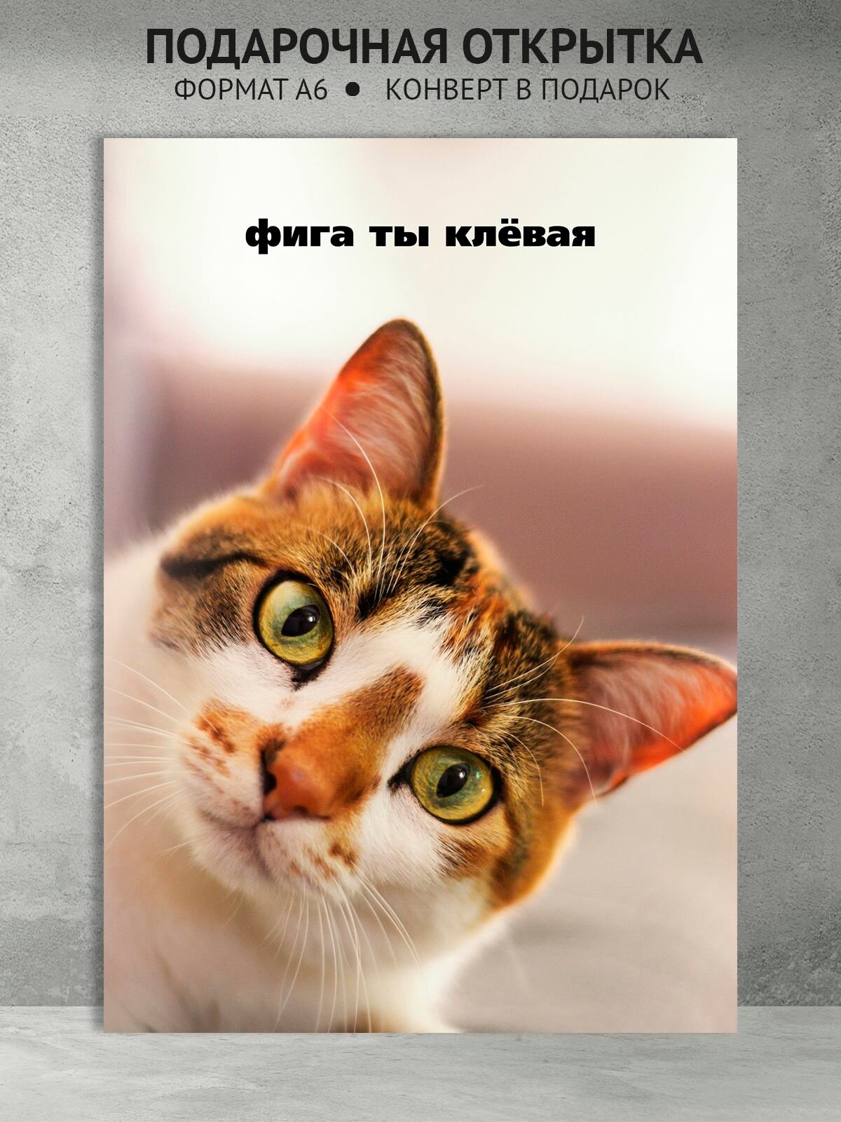 Подарочная открытка с уникальной иллюстрацией котик "Фига ты клевая" с днем рождения, с юбилеем, без повода