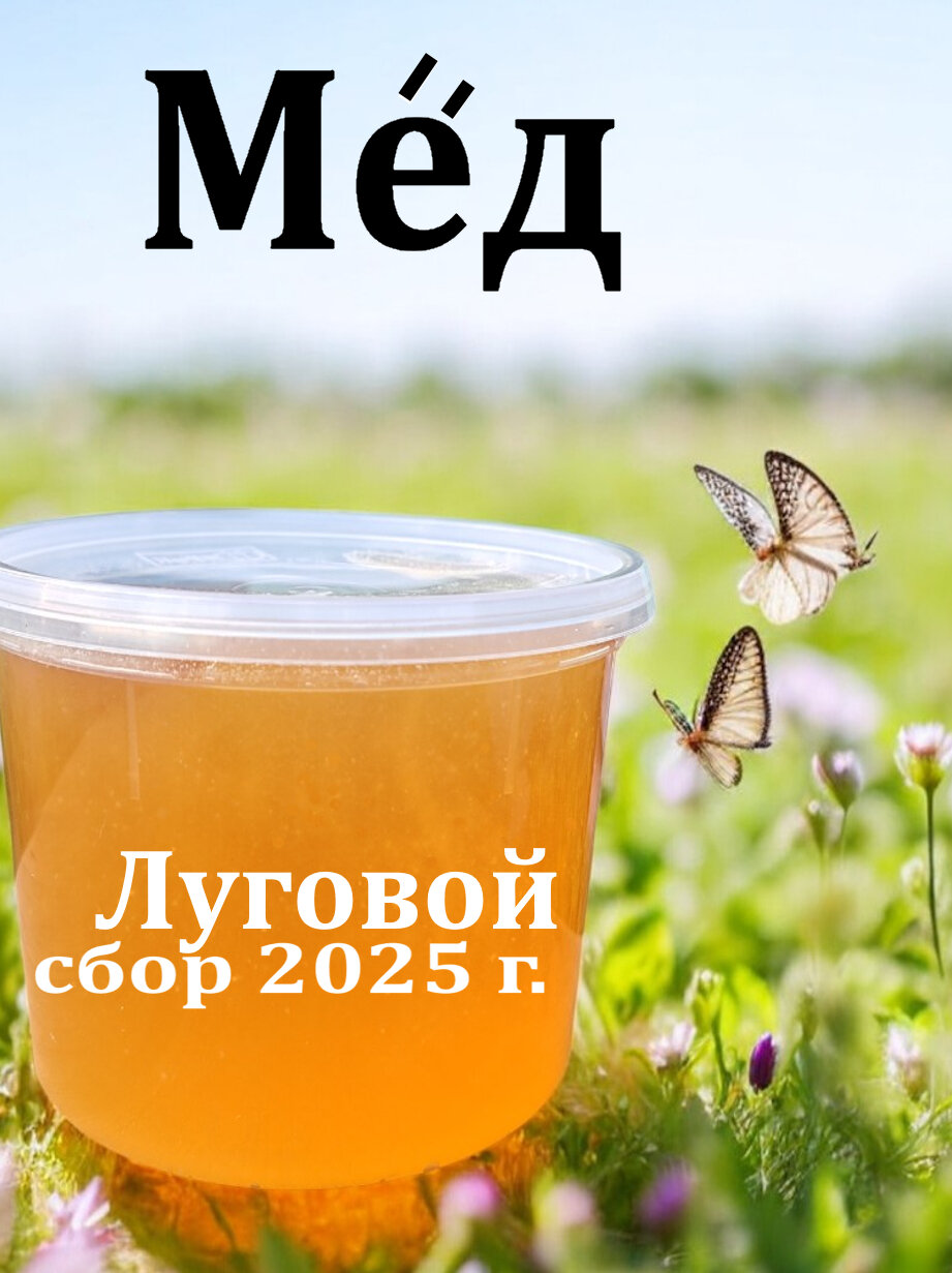 Мед Луговой, натуральный разнотравье, 950 грамм, сбор 2025 г.