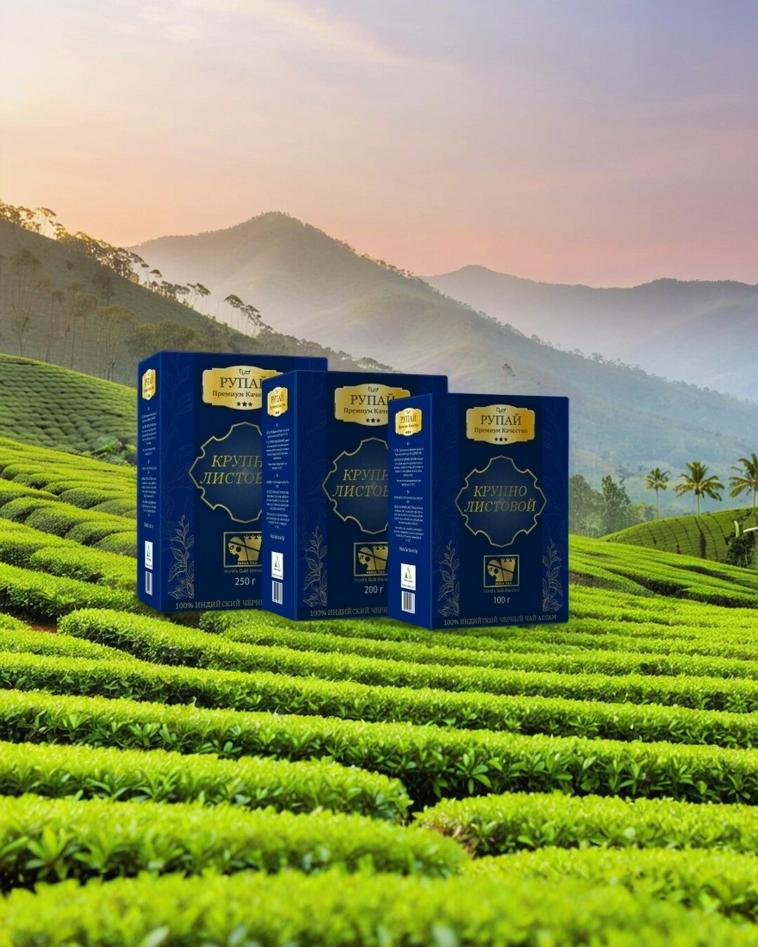 Рупай чай крупнолистовой с типсами, Высокогорный, Индия Ассам 100гр.