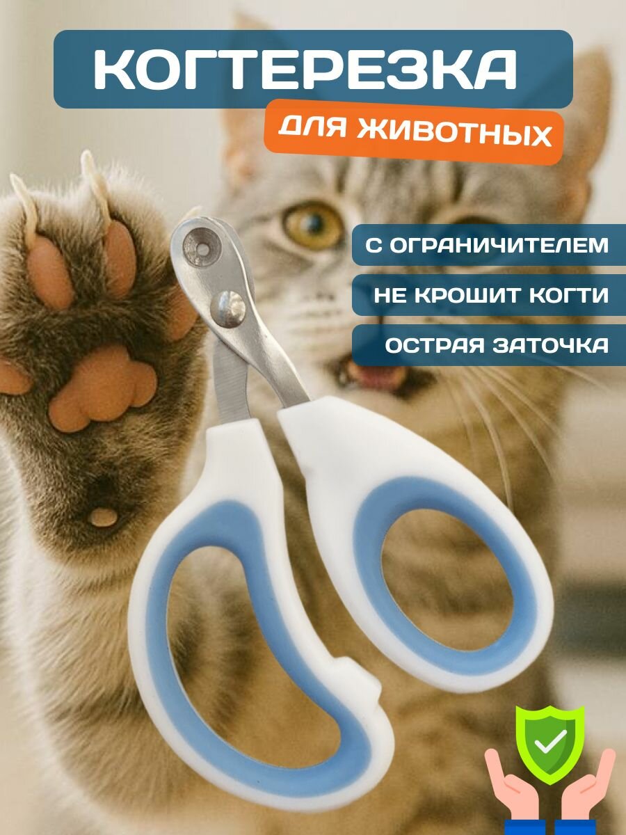 Когтерез