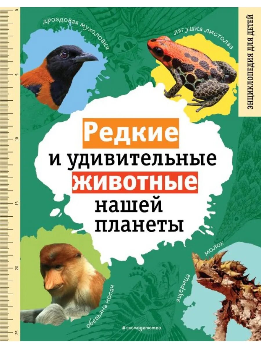 Редкие и удивительные животные нашей планеты. Энциклопедия