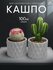Кашпо - декоративное 100мл