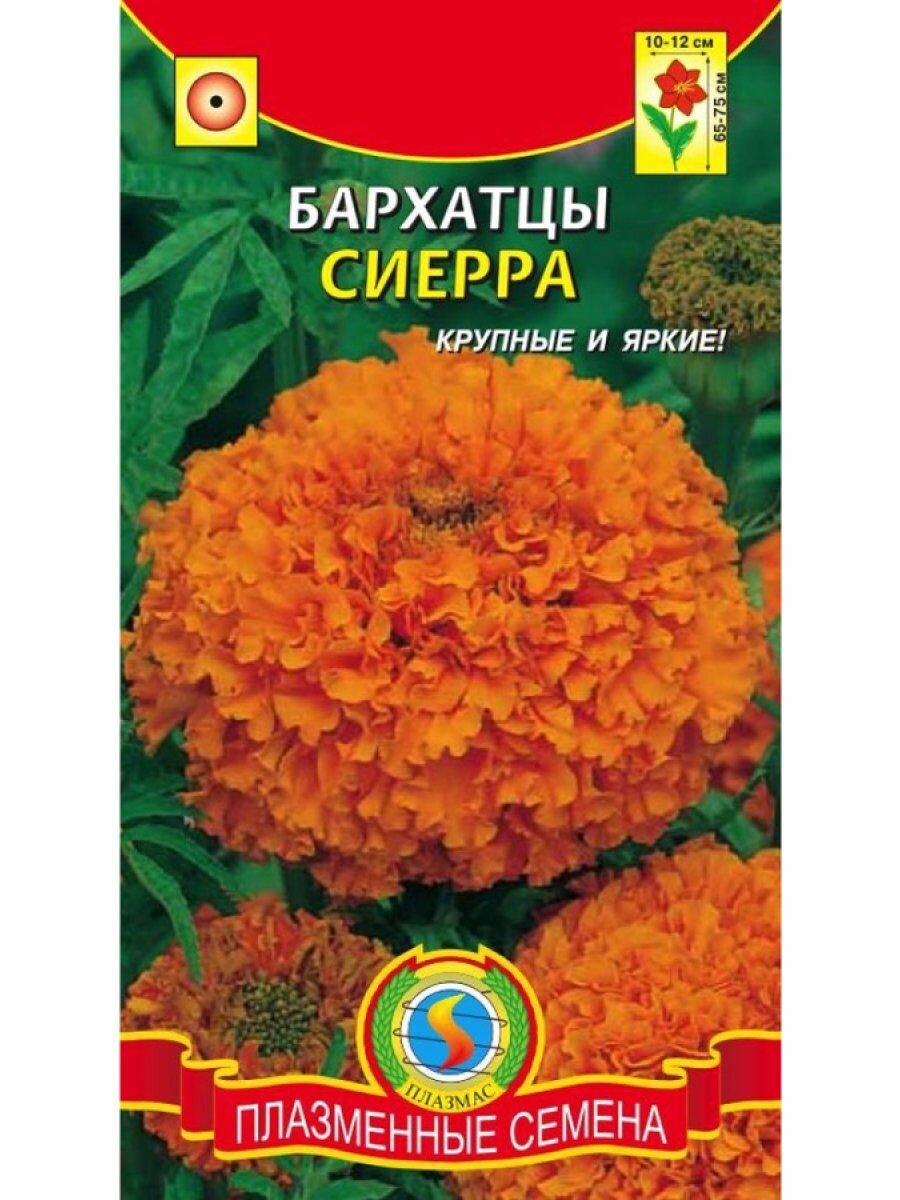 Бархатцы Сиерра 45 шт, Плазменные семена