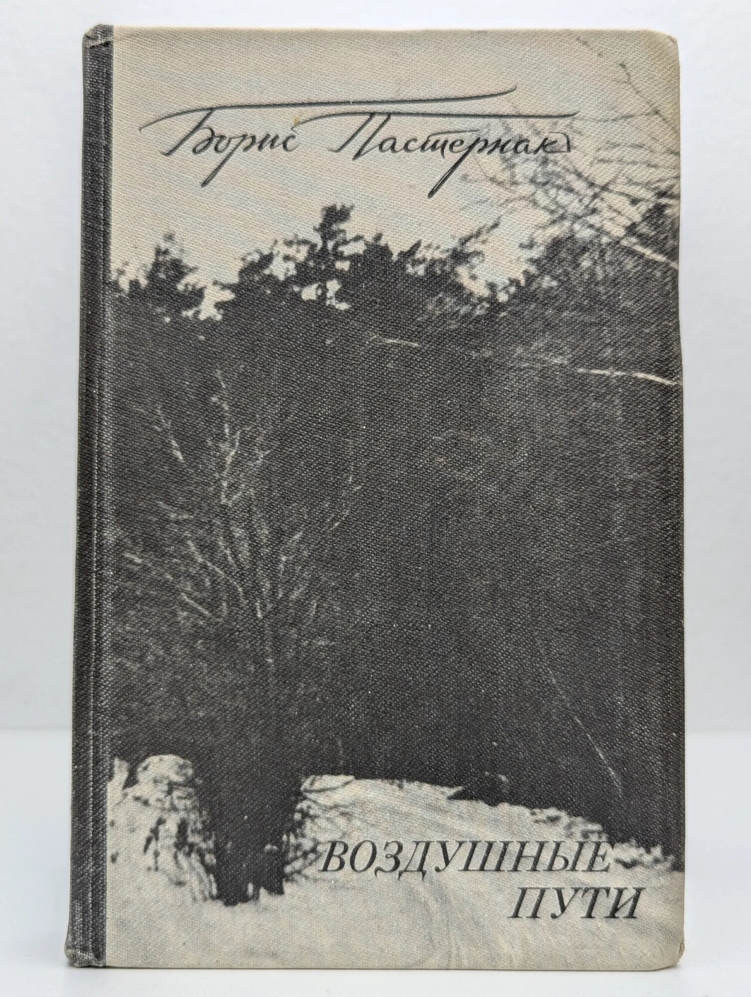 Воздушные пути Пастернак Борис Леонидович 1982