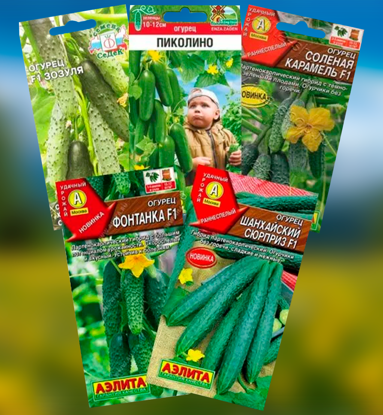 Набор семян Огурцов самоопыляемых (партенокарпических) / 5 пачек