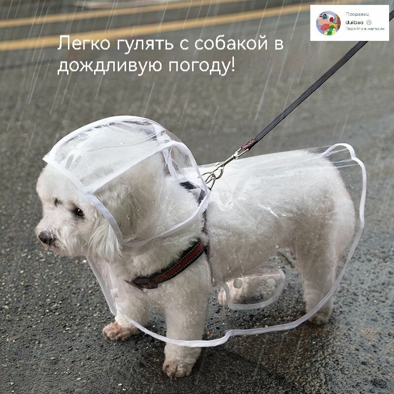 Эксклюзивный зоогамбит-duibao