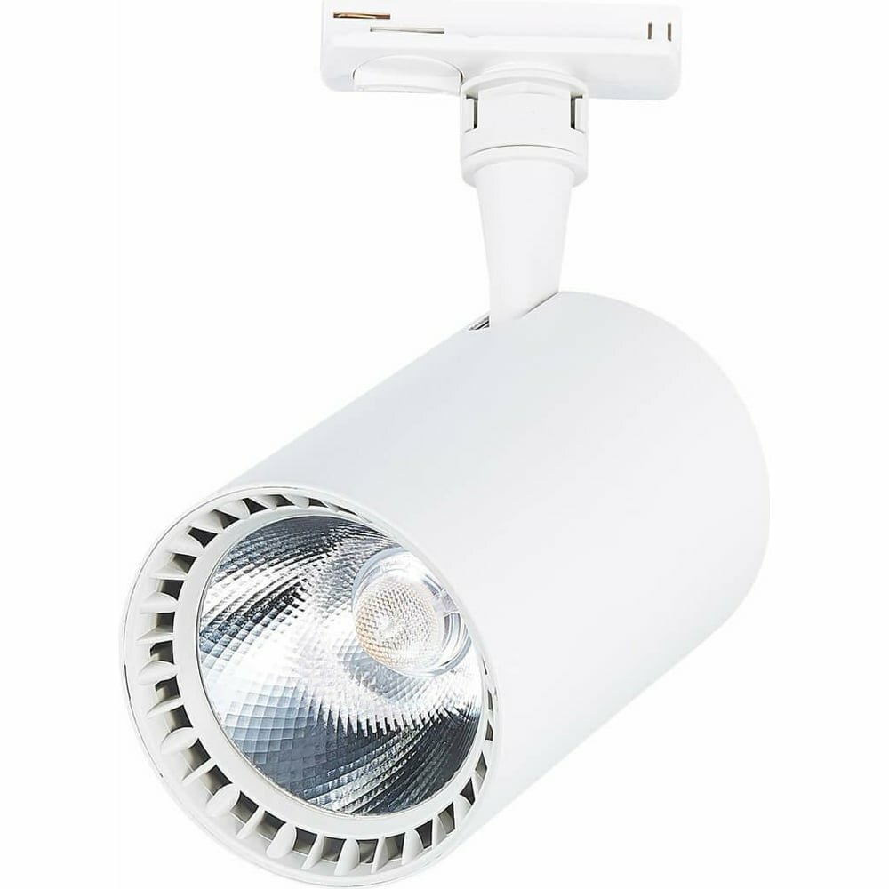 Трековый светильник ST LUCE CAMI ST351.546.20.36