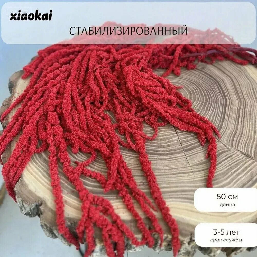 Сухоцветы Амарант, 50 см, 150 гр, 1 шт