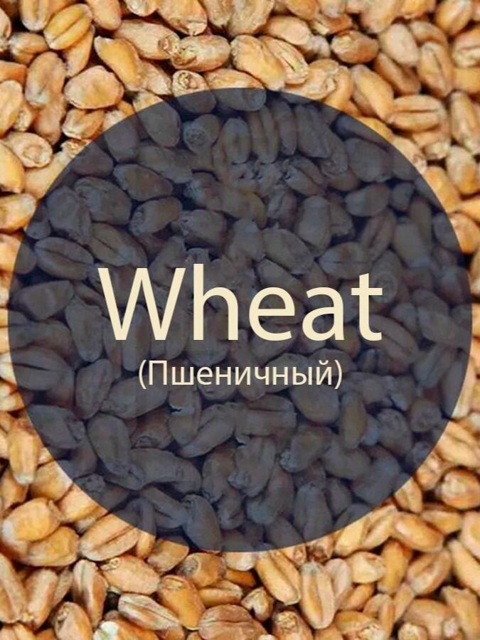 Солод Bestmalz "Wheat" (Пшеничный), Германия, 25 кг, Без помола