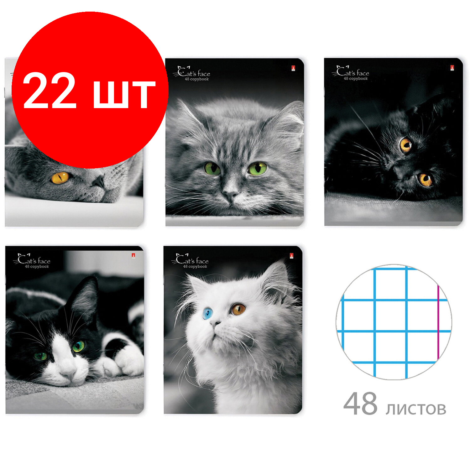 Комплект 22 шт, Тетрадь А5 48 л. Альт скоба, клетка, глянцевый лак, "Кошки. Яркий взгляд" (5 видов), 7-48-1019