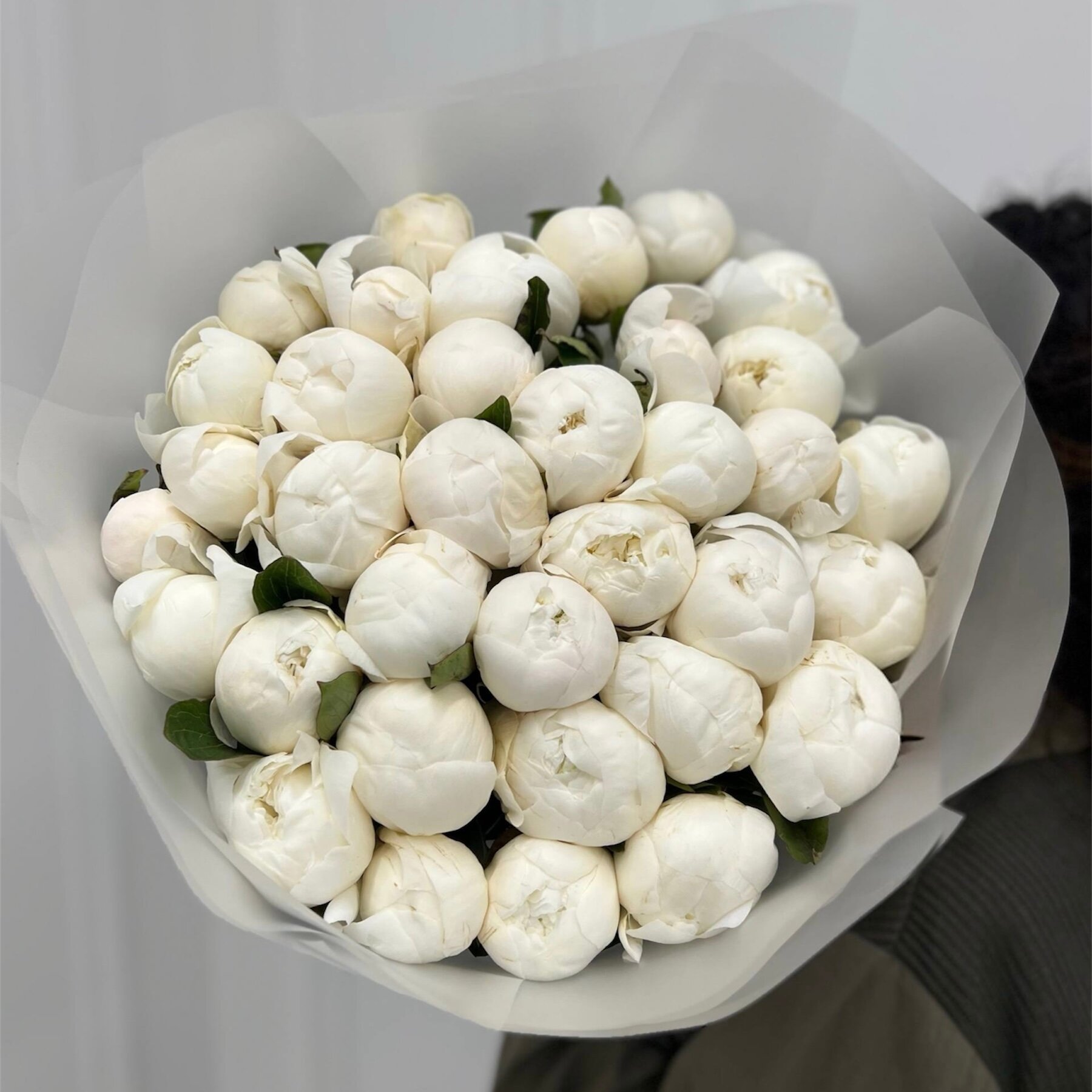 Букет из белых пионов 35 шт, красивый букет цветов, шикарный, премиум цветы, премиум букет