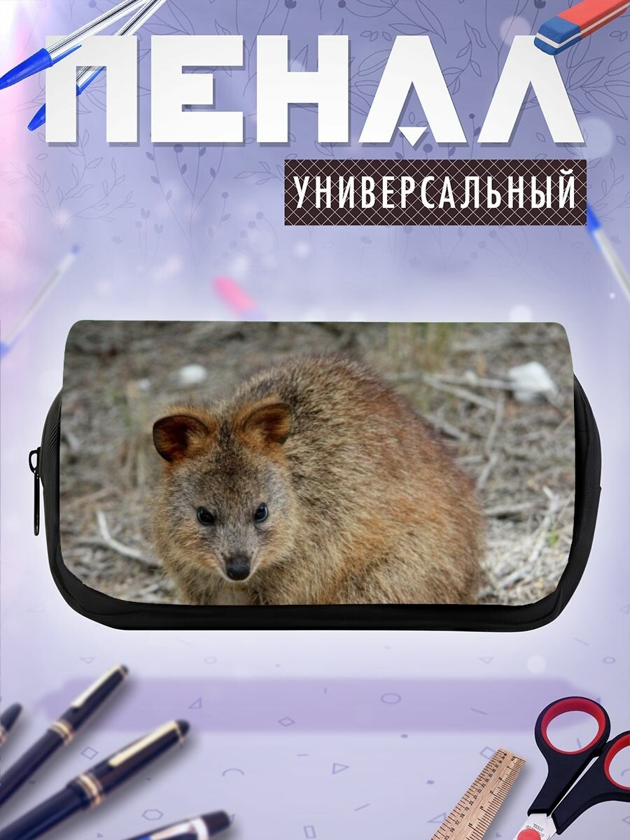 Школьный пенал Сумчатые Квокка