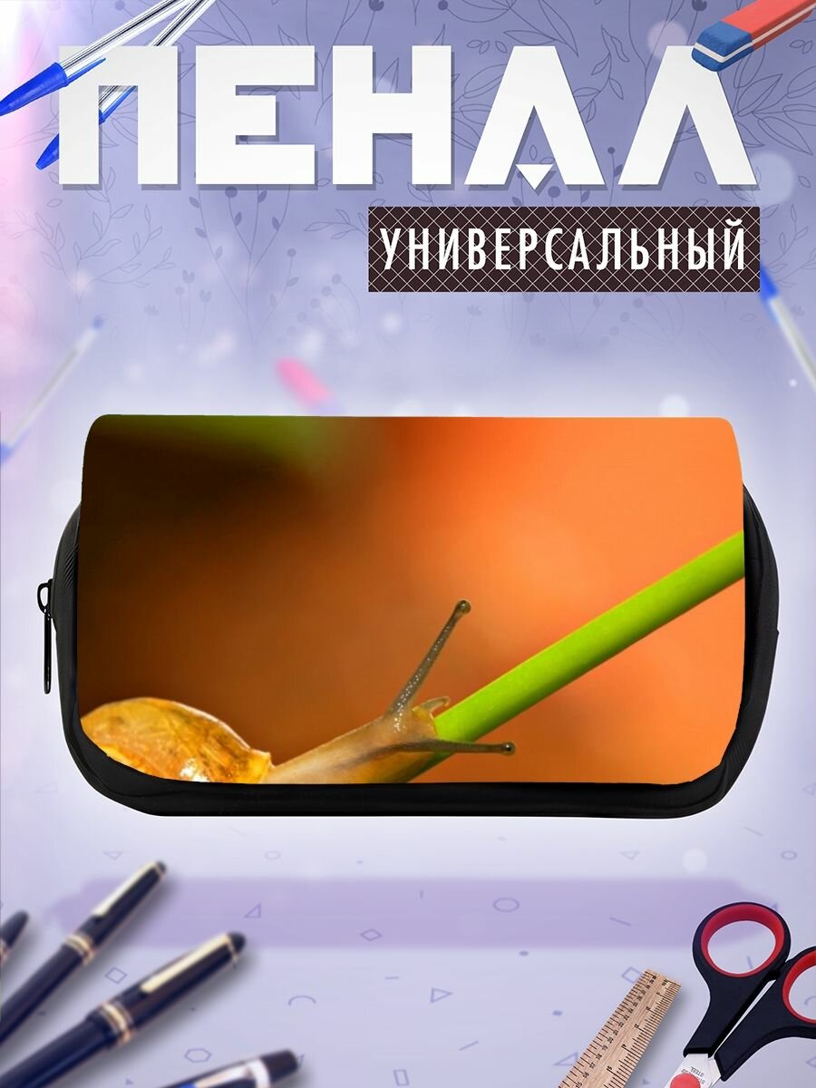 Школьный пенал улитка улитки и слизни