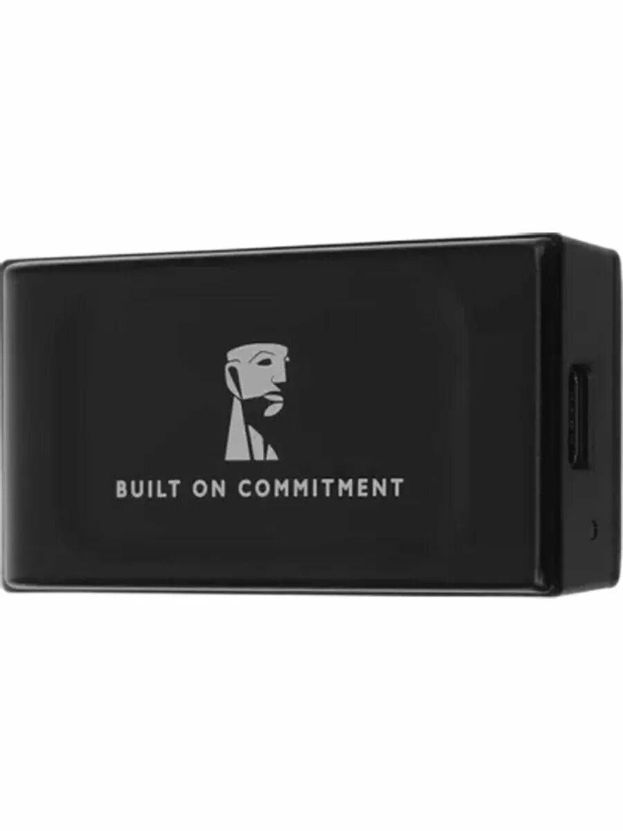 Внешний SSD Portable SSD 2TB External XS1000 Type-C