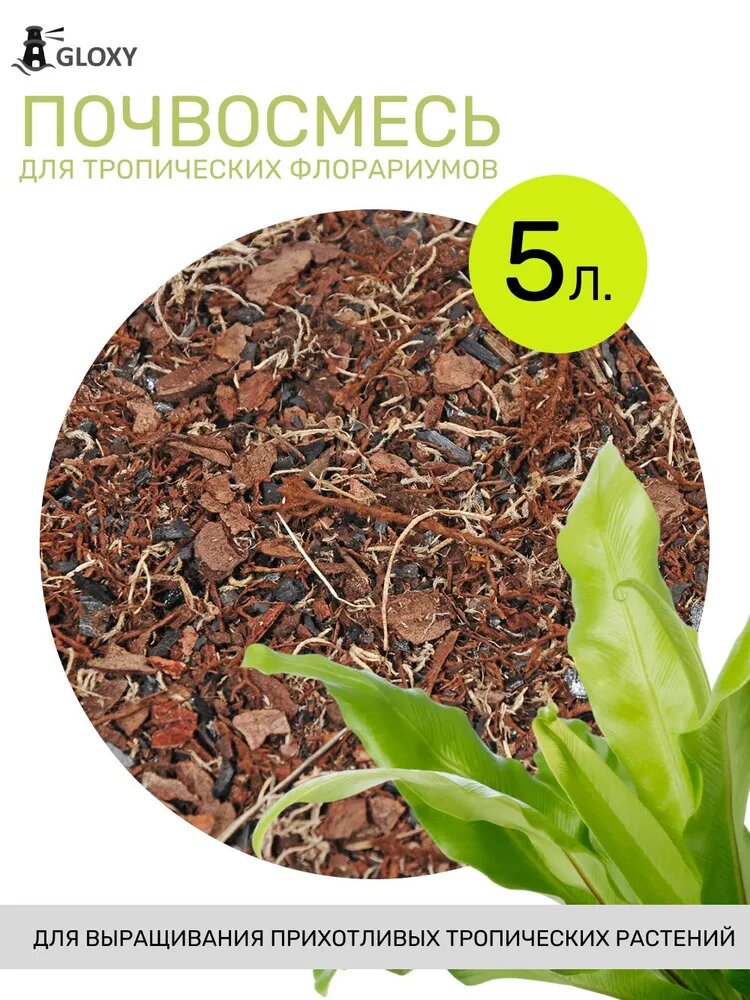 Почвосмесь для тропических флорариумов FAT (по типу ABG mix) 5л