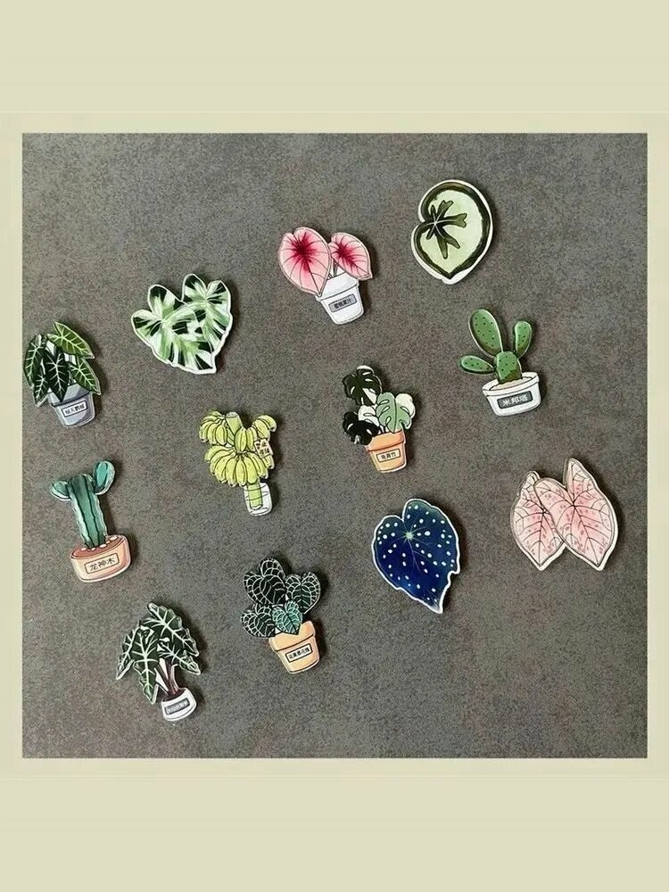 12 штук Магниты для холодильника в форме листьев монстеры